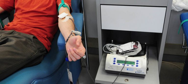 O caminho do sangue: o processo do doador até o receptor - Grupo IBES